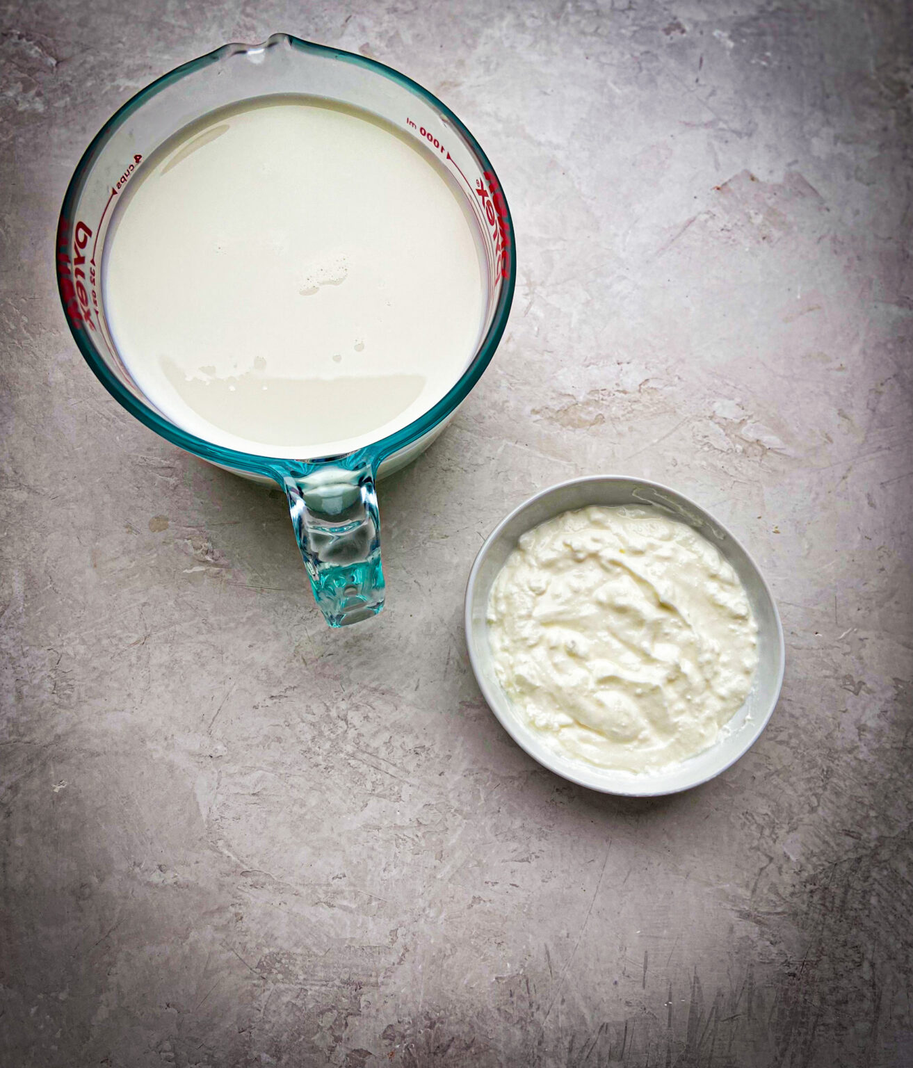 2-Ingredient Homemade Indian Dahi (Yogurt) - Two Cloves In A Pot