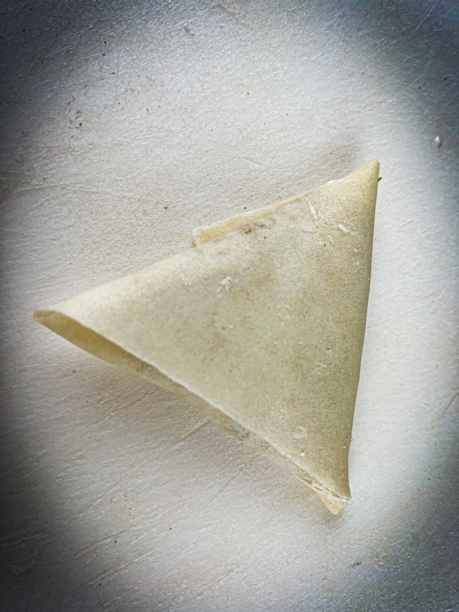 Crispy Homemade Pakistani-Style Chicken Samosa (Video) - Two Cloves In ...